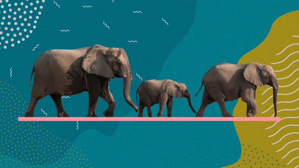 Better Together: Intergenerational Collaboration